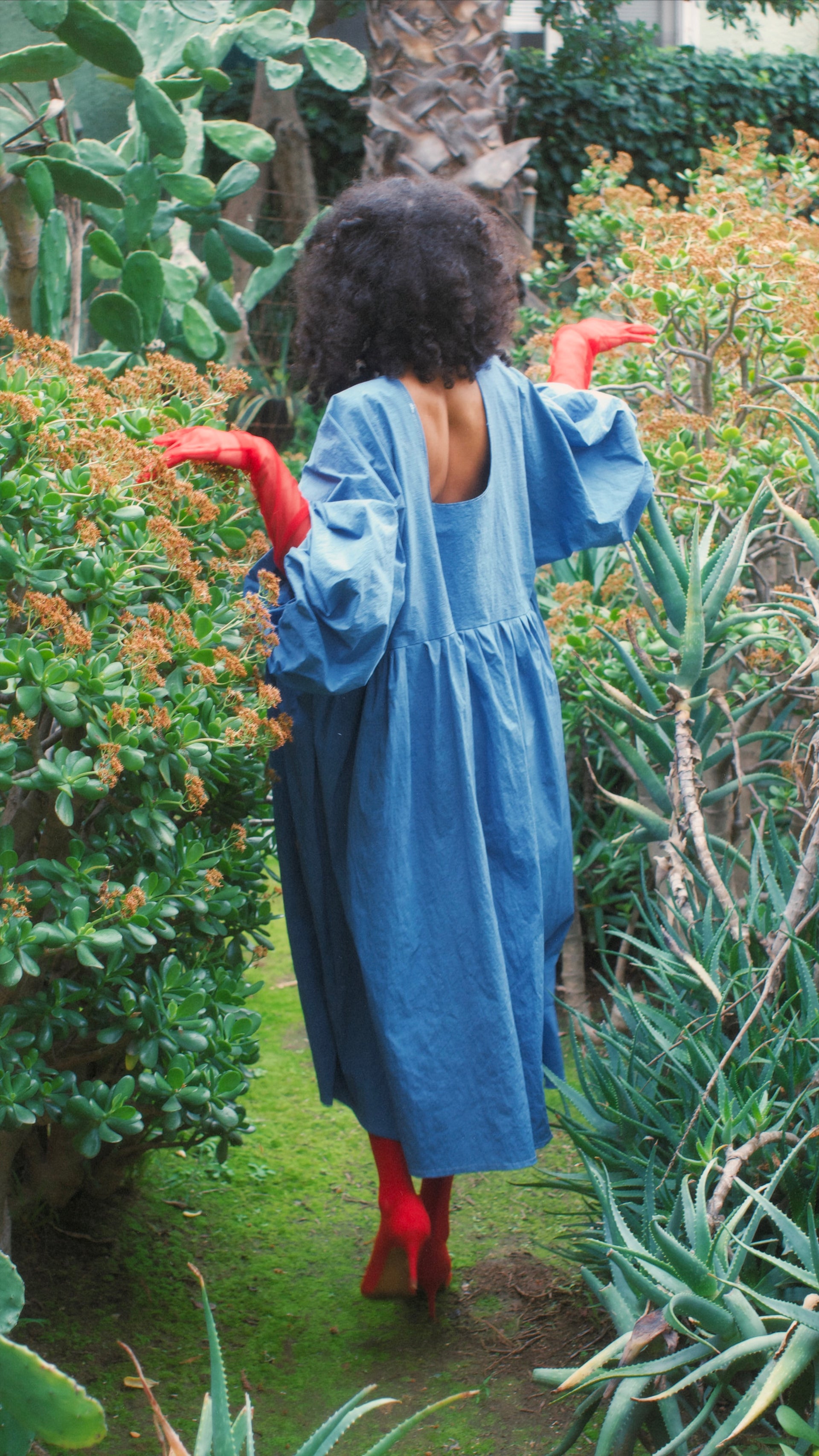 Summer Collection – Maya Meyer